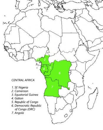 Chapter 1.1: General Introduction – The Bright Continent: African Art ...