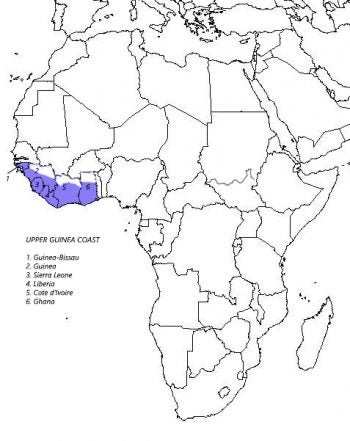 Chapter 1.1: General Introduction – The Bright Continent: African Art ...