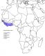 Chapter 1.1: General Introduction – The Bright Continent: African Art ...