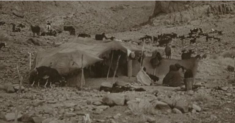 Chapter 4.4 Art in Nomadic Societies – The Bright Continent: African ...