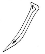 The Evolution Of Chinese Characters, Calligraphy Writing Tools, And ...