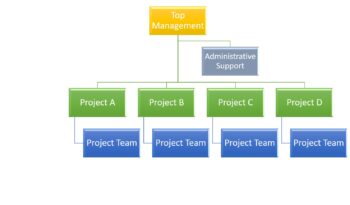 3.3 Organizational Dimensions and the Structure – Project Management