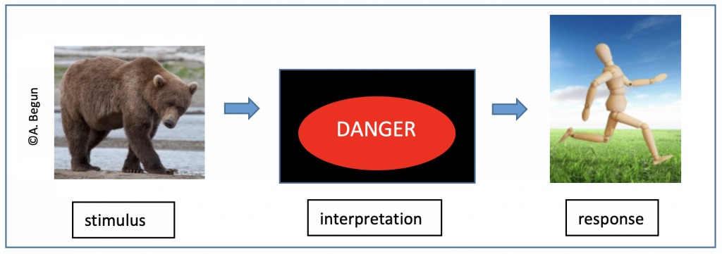 Ch. 4.1: Cognitive and Learning Theories – Introduction to Substance ...