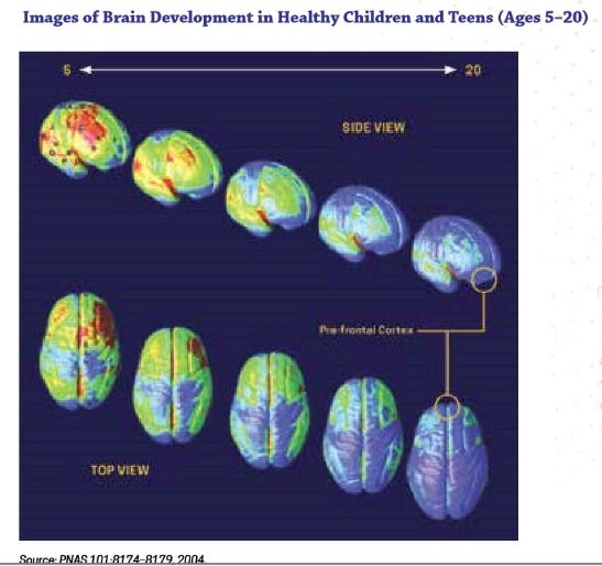 Ch. 2.2: Neurobiology and Substance Use – Introduction to Substance Use ...