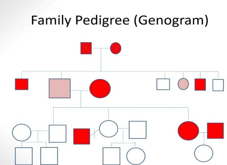 Ch. 2.1: Genetic Influences – Introduction to Substance Use Disorders